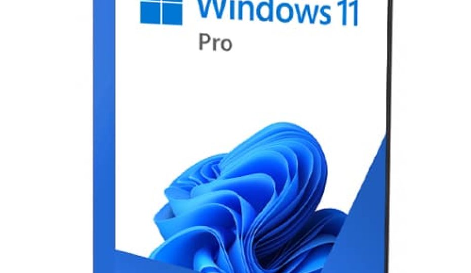 Windows 11 Famille / Windows 11 Professionnel, Un Choix à Comprendre ...